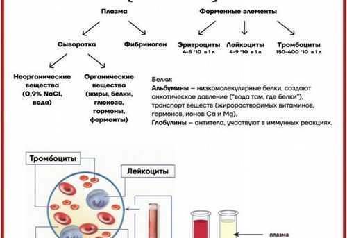 Конспекты по биологии умскул