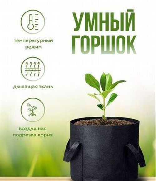 Экологичный горшок для растений