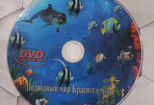 DVD диск Подводный мир Красного моря