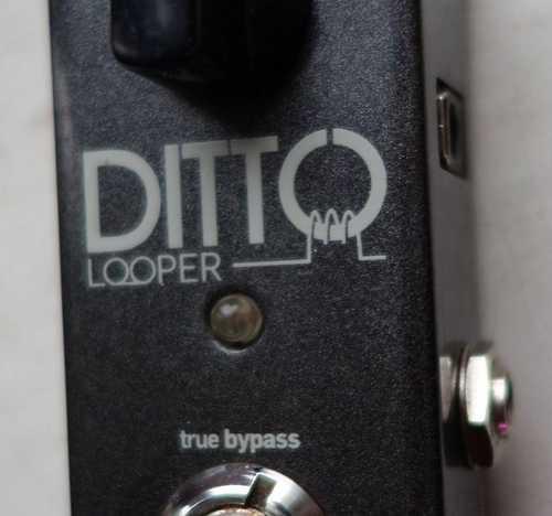 Лупер Looper TC electronic ditto