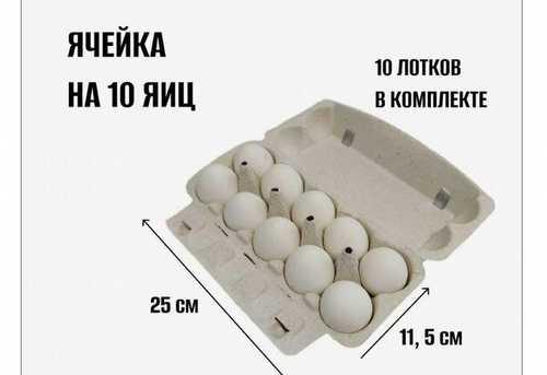 Ячейки для куриных яиц 10 шт