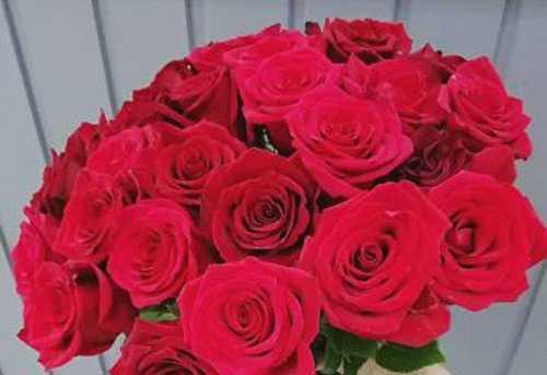 Ароматные розы с крупным бутоном 50-70 см