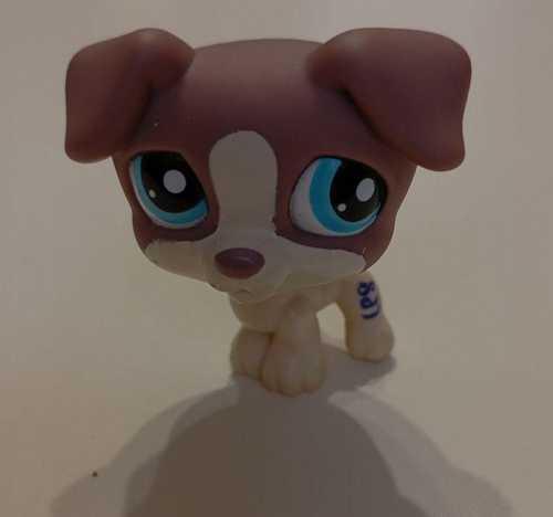 Littlest pet shop 2007 оригинал LPS