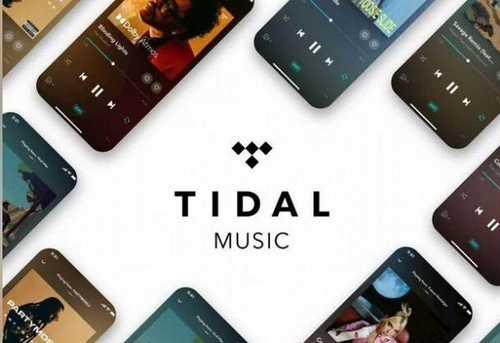 Подписка Tidal Hi-Fi plus (master)