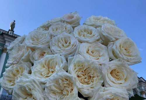 Пионовидные белые розы ароматные доставка