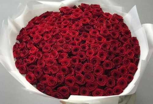 Цветы Доставка Букет 101 роза 51 роза 21 роза
