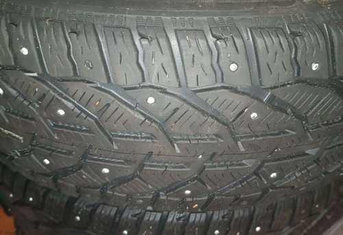 Tigar Winter 205/60 R16 96T