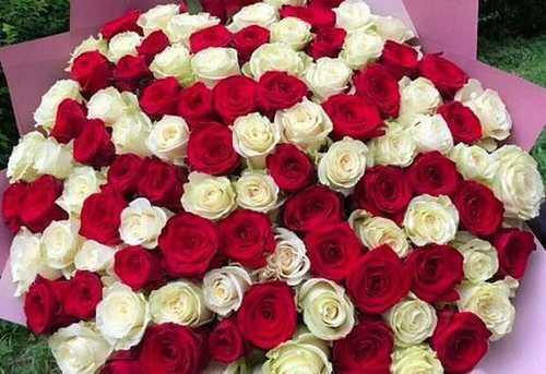 Букет из 49 роз Цветы В Красноярске