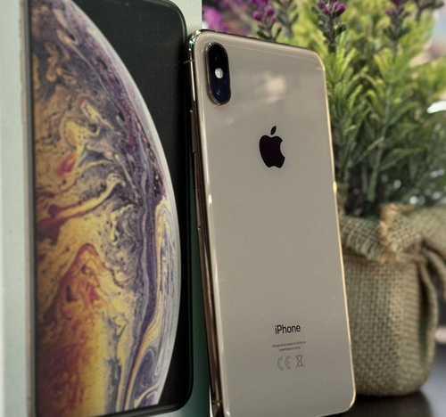 iPhone Xs Max, 256 ГБ