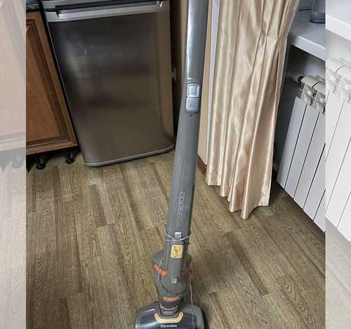Пылесос electrolux ergorapido 12v