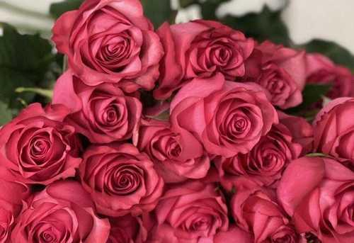 Высокие розы, розы 80 см, доставка цветов