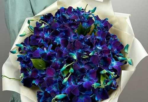 Орхидея almond roses, цвет синий, 91 шт