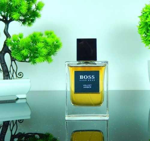 Hugo Boss Boss The Collection Velvet & Amber