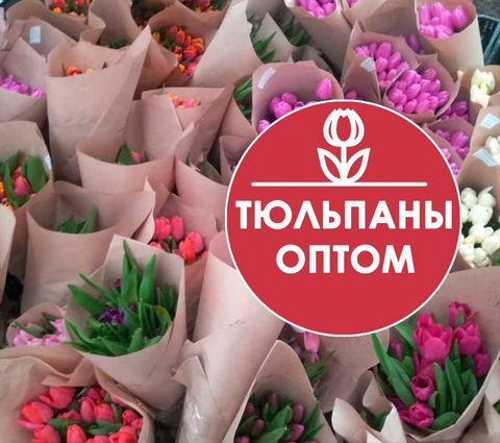 Тюльпаны оптом