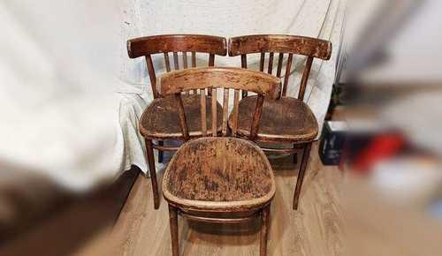 Венские деревянные стулья ретро под реставрацию