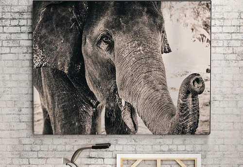 Картина маслом слон