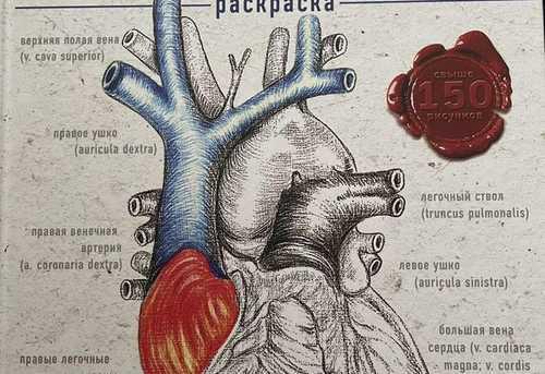 Анатомия. Русско-Латинский атлас. Раскраска