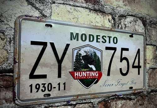 Декор на стену Modesto ZY 754