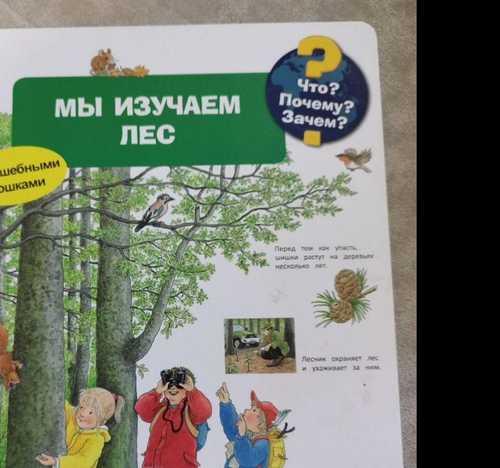 Книга с окошками Мы изучаем лес