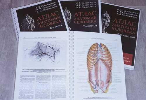 Атлас анатомии человека, Р. Д. Синельников, 2009г
