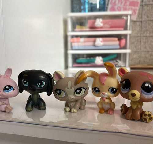 Littlest pet shop