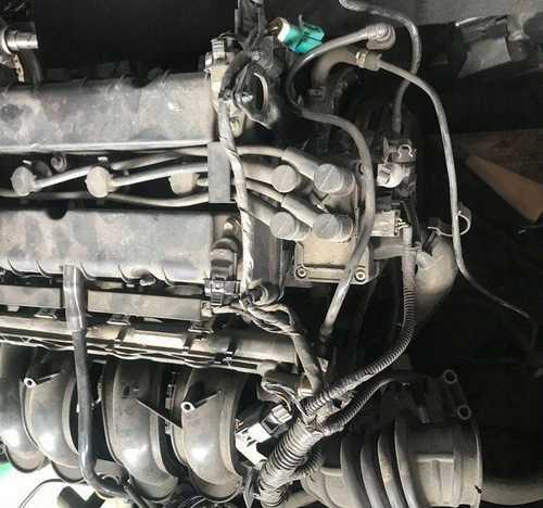 Двигатель pnda ford focus 3