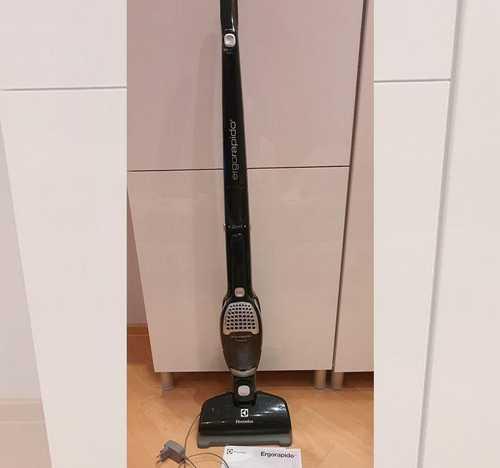 Вертикальный пылесос Electrolux ergorapido zb2816