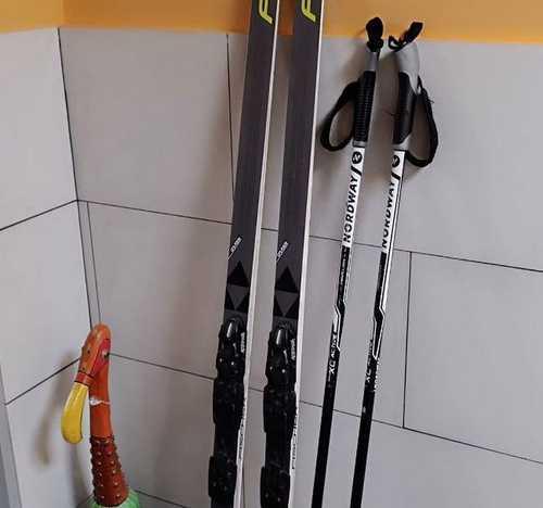 Лыжи беговые fisher rcs