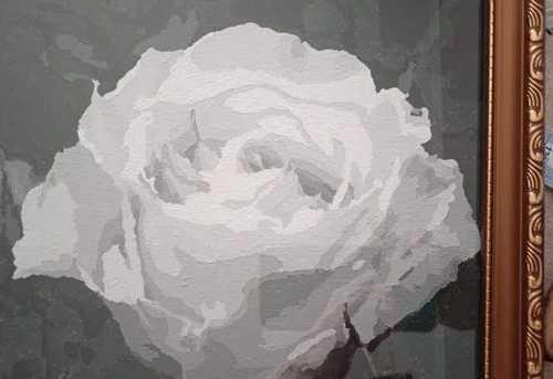 Картина "Белая роза"