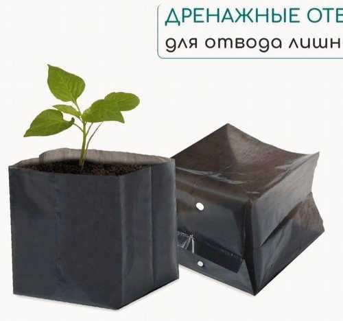 Пакеты для рассады