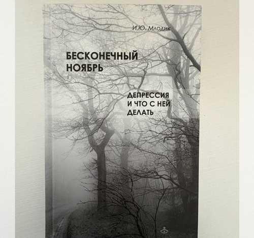 Книга бесконечный ноябрь