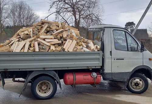 Дрова разных пород, береза, дуб, осина