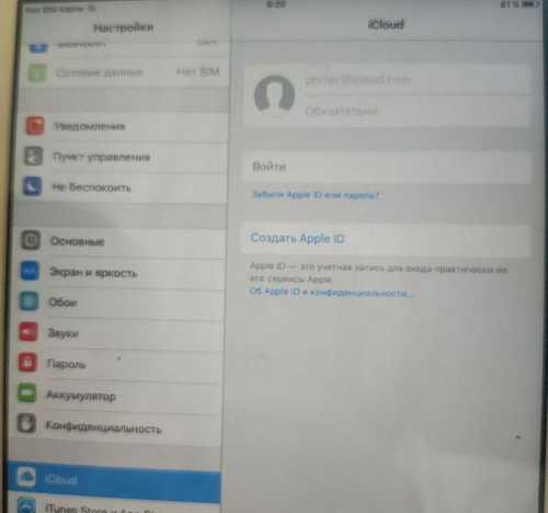 iPad mini A1455