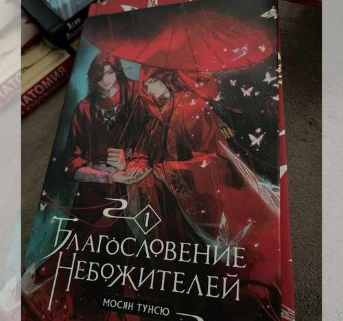 Книга благословение небожителей 1 том