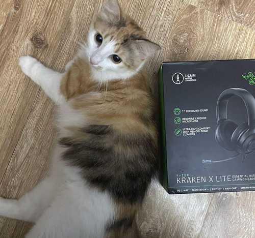 Игровые наушники razer kraken x lite