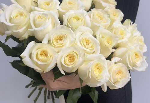 Пионовидная роза Эквадор 25,49,75 роз