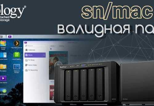 Synology s/n + mac валидная пара