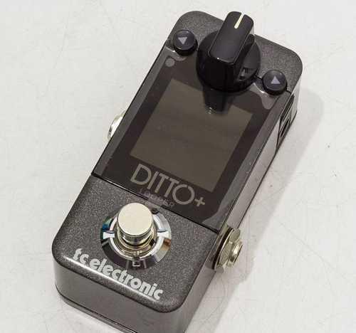 TC Electronic Ditto  Looper