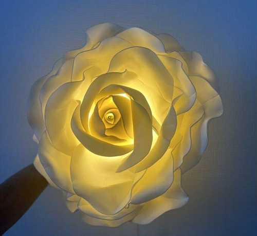 Цветок ночник, светильник