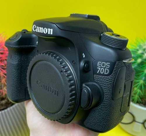 Canon EOS 70D Body