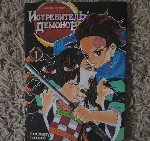Истребитель демонов 1 том