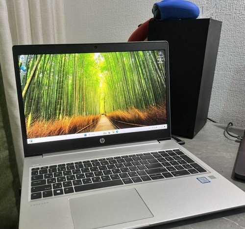 Ноутбук HP ProBook 450 G6 (1920x1080, i5, 16 RAM)