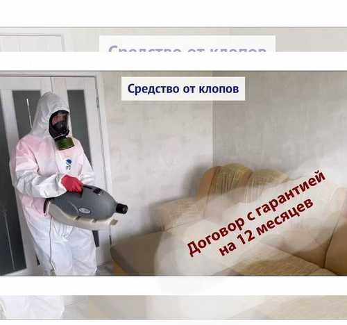 Уничтожение клопов тараканов грибка плесени