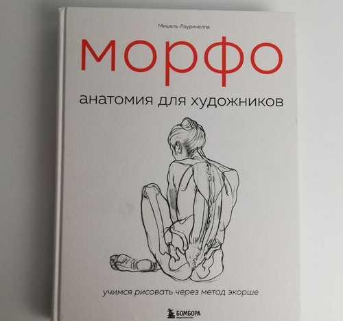 Морфо. Анатомия для художников