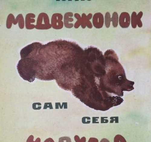 Чарушин Е., Сладков Н. Как медвежонок сам себя нап