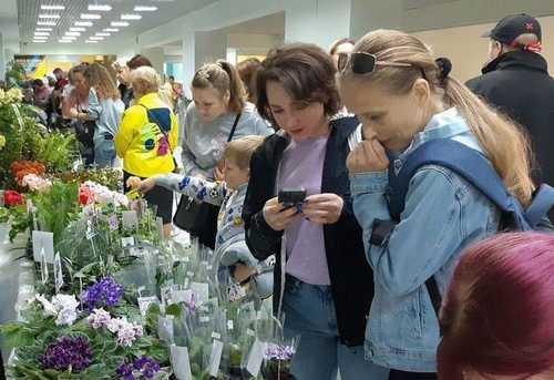 Выставка-ярмарка комнатных растений 1-2 марта екб