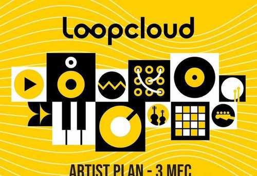Loopcloud/Подписка 3 мес
