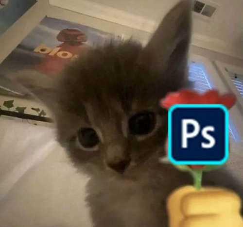 Adobe Photoshop 2024 Windows 10/11. Бессрочная