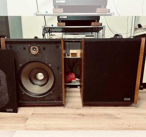 Акустика Altec Lansing 879A Santana