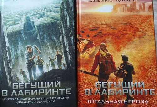 Бегущий в лабиринте книги